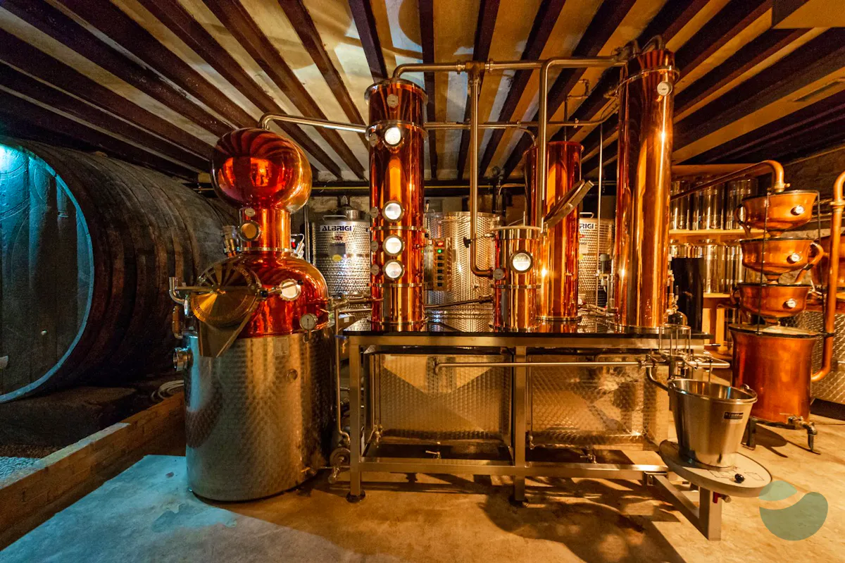 Amazing Gin Cooking Experience In Buzet, Istria - Authland